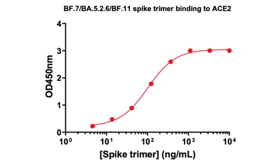 Spike Trimer (S1+S2) (BF.7/BA.5.2.6/BF.11, Omicron Variant), His-Tag (SARS-CoV-2) Recombinant