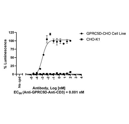 Anti-GPRC5D-Anti-CD3 Bispecific Antibody CD3, GPRC5D 102450