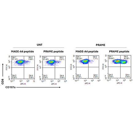 PRAME TCR-T cells PRAME 82391