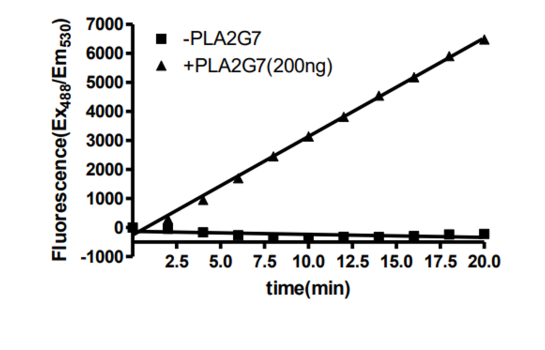 PLA2G7 (Lp-PLA2), His-tag Recombinant PLA2G7 60091