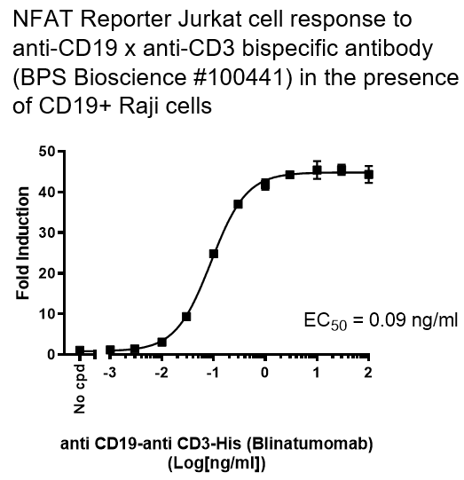 NFAT Reporter (Luc) – Jurkat Recombinant Cell Line