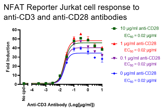 NFAT Reporter (Luc) – Jurkat Recombinant Cell Line
