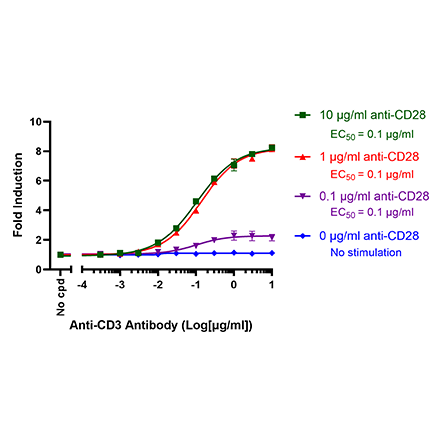NF-κB Luciferase Reporter Jurkat Cell Line NF-kB 60651