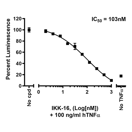 NF-κB Luciferase Reporter Jurkat Cell Line NF-kB 60651