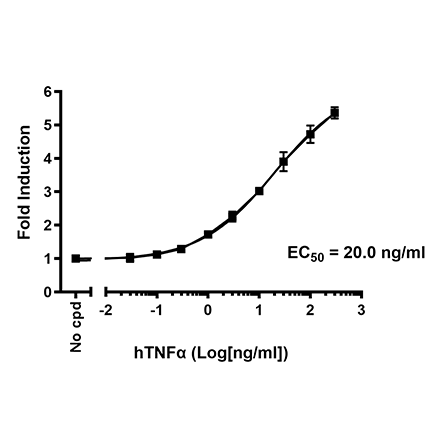NF-κB Luciferase Reporter Jurkat Cell Line NF-kB 60651