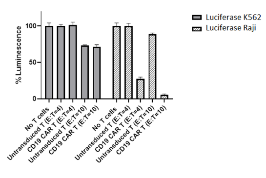 Anti-CD19 CAR-T Cells CD19 78171