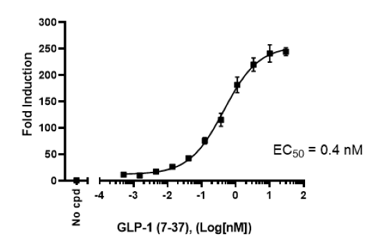 GLP-1R/CRE Luciferase Reporter HEK293 Cell Line GCGR, GIPR, GLP-1 78176