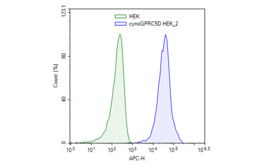 GPRC5D (Cynomolgus) HEK293 Cell Line GPRC5D 78346