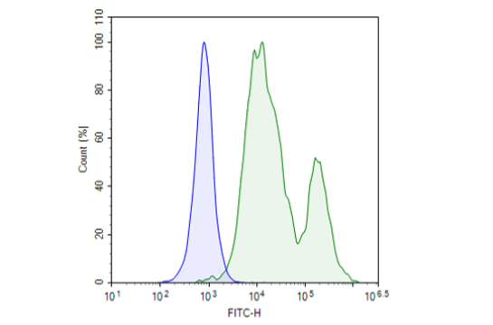 eGFP/Firefly Luciferase MM.1S Cell Line 78376