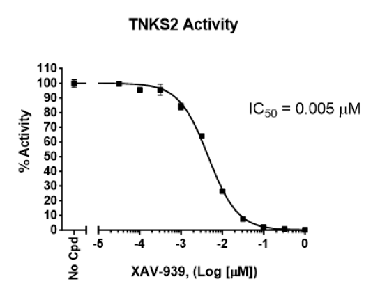 TNKS2 Homogenous Assay Kit TNKS2 78490