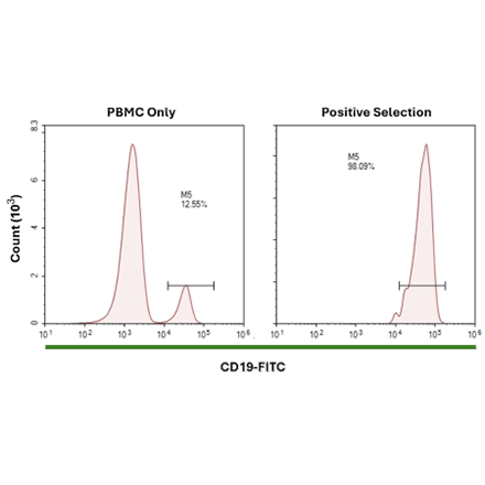 Cell Isolation Magnetic Tube Rack 78571