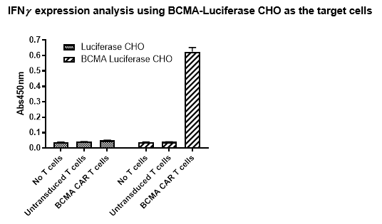 Anti-BCMA CAR Lentivirus (BCMA (C11D5.3) ScFv -CD8-CD28-CD3ζ)