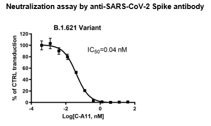 Spike (B.1.621, Mu Variant) (SARS-CoV-2) Pseudotyped Lentivirus (Luc Reporter) Spike 78618