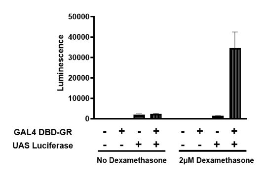 UAS Luciferase Reporter Lentivirus 78631