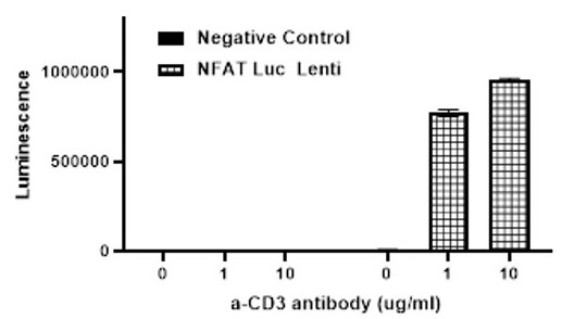 NFAT Luciferase Reporter Lentivirus NFAT 79579