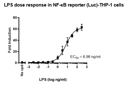 NF- κB Reporter (Luc) – THP-1 Cell Line