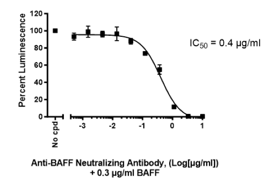 BAFF/APRIL Responsive BCMA-NF-κB Luciferase Reporter HEK293 Cell Line ...