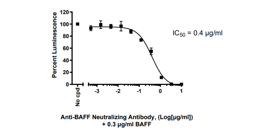 Anti-BAFF Neutralizing Antibody BAFF 102205