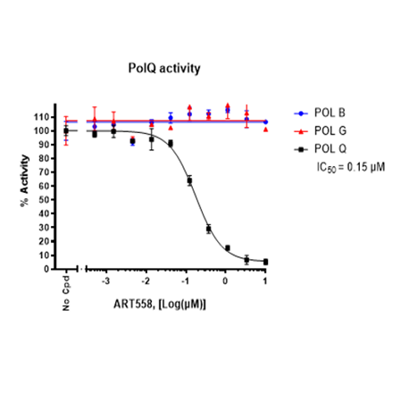 DNA Polymerase θ Assay Kit DNA PolO 82107