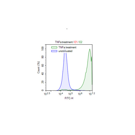 NF-κB Luciferase-eGFP Reporter HEK293 Cell Line NF-kB 82389
