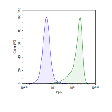 Firefly Luciferase CD19 K562 Cell Line CD19 82486