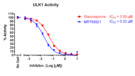 ULK1, FLAG-Tag Recombinant ULK1 40099
