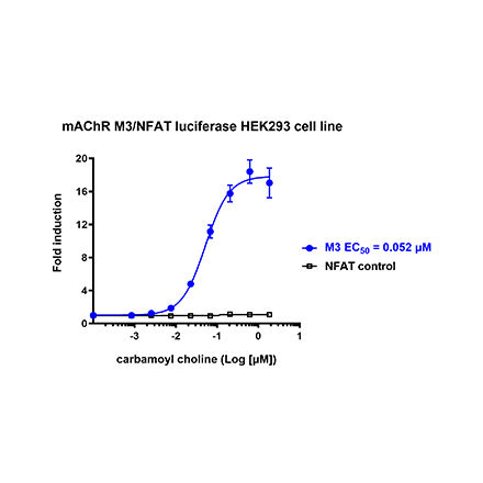 Muscarinic Acetylcholine Receptor (mAChR) M3 /NFAT Luciferase Reporter ...