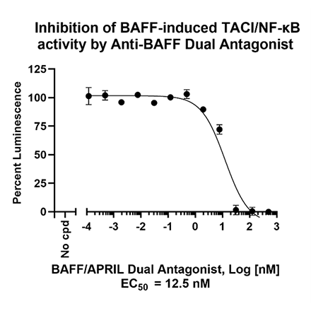 BAFF/APRIL Responsive TACI-NF-κB Luciferase Reporter HEK293 Cell Line ...
