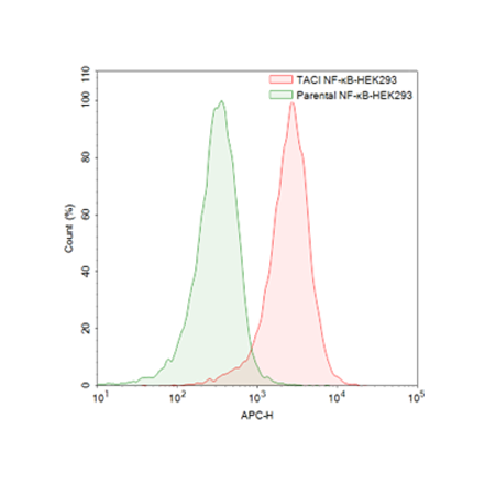 BAFF/APRIL Responsive TACI-NF-κB Luciferase Reporter HEK293 Cell Line ...