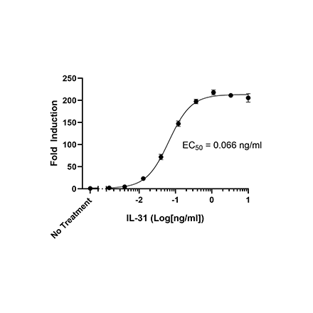 IL-31 Responsive Luciferase Reporter HEK293 Cell Line IL-31 82799