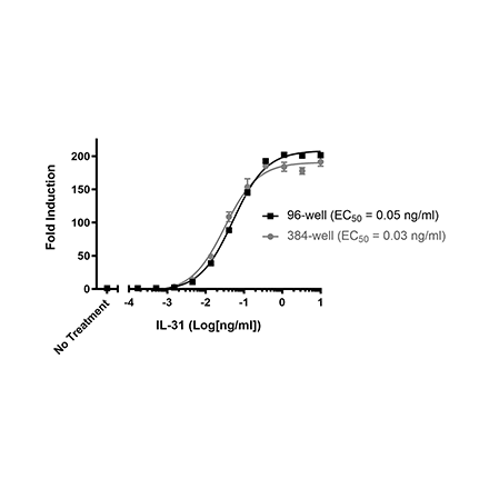 IL-31 Responsive Luciferase Reporter HEK293 Cell Line IL-31 82799