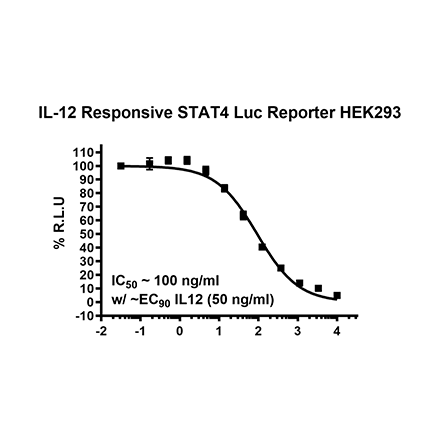 IL-12 Responsive STAT4 Luciferase Reporter HEK293 Cell Line IL-12 ...