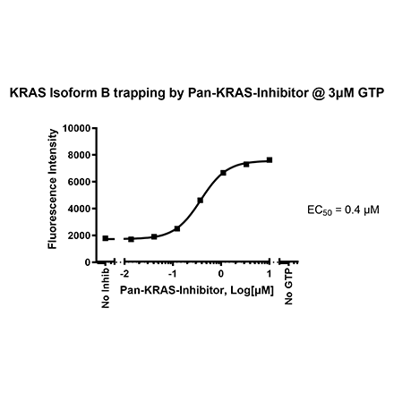 KRAS Isoform B Nucleotide Exchange Assay Kit KRAS 82846