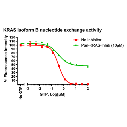 KRAS Isoform B Nucleotide Exchange Assay Kit KRAS 82846