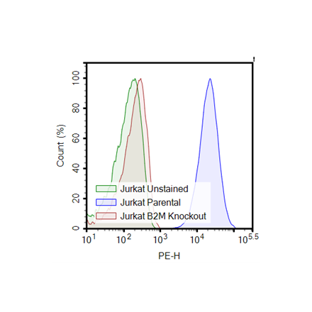 B2M Knockout Jurkat Cell Line B2M 82872