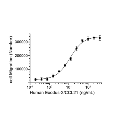 Exodus-2 Recombinant (Human) Exodus-2 83890