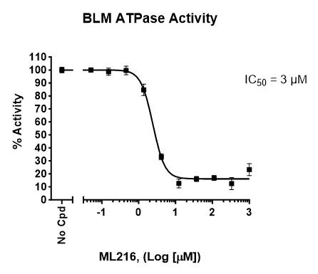 BLM Helicase Activity Assay Kit WRN, BLM, DHX9 82512