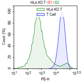 AAV qPCR Titration Kit VirusK 82812