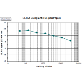 Anti–H3 pan polyclonal antibody Histone H3 25235