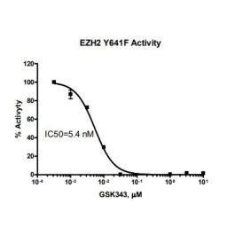 EZH2 (Y641F) Chemiluminescent Assay Kit EZH2 52075