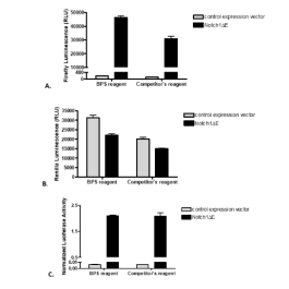 TWO-Step Luciferase (Firefly & Renilla) Assay System Luciferase 60683