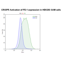 PD-1 (Human) sgRNA-MS2 Lentivirus (Integrating) PD-1 78190