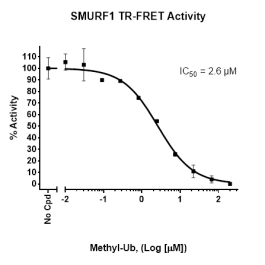 SMURF1 Intrachain TR-FRET Assay Kit SMURF1 78303