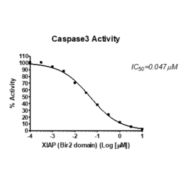 Caspase-3 Homogeneous Assay Kit Caspase3 80700
