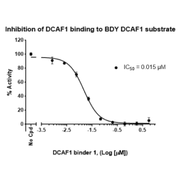 DCAF1 Binding Assay Kit DCAF1 82519