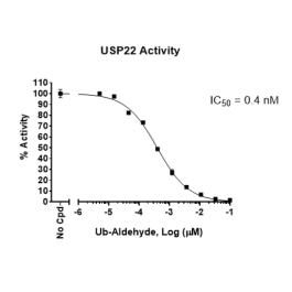 USP22 Inhibitor Screening Assay Kit USP 82742