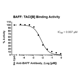 BAFF: TACI [Biotinylated] Inhibitor Screening Chemiluminescence Assay ...