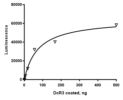 DcR3, His-Tag Recombinant DcR3 102420