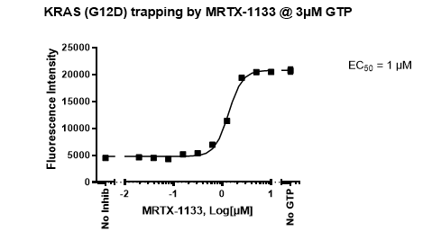 KRAS(G12D) Nucleotide Exchange Assay Kit KRAS G12D 78355