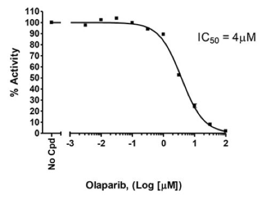 PARP12, His-GST-Tag Recombinant